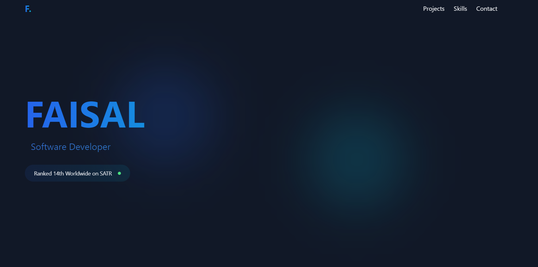 Faisal - Software Developer